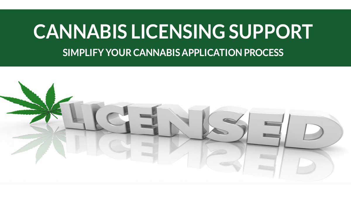 Final Plans of Record Summary | Minnesota Cannabis Licensing